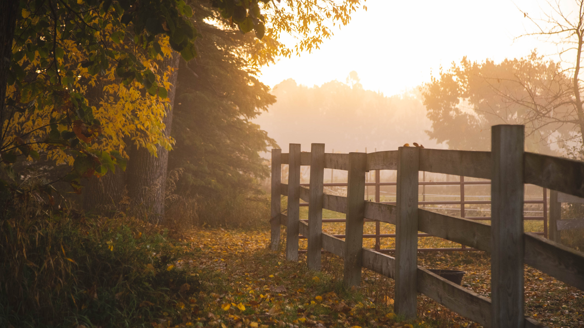 Food for Thought: Waking Up to Our Boundaries – Julie de Rohan