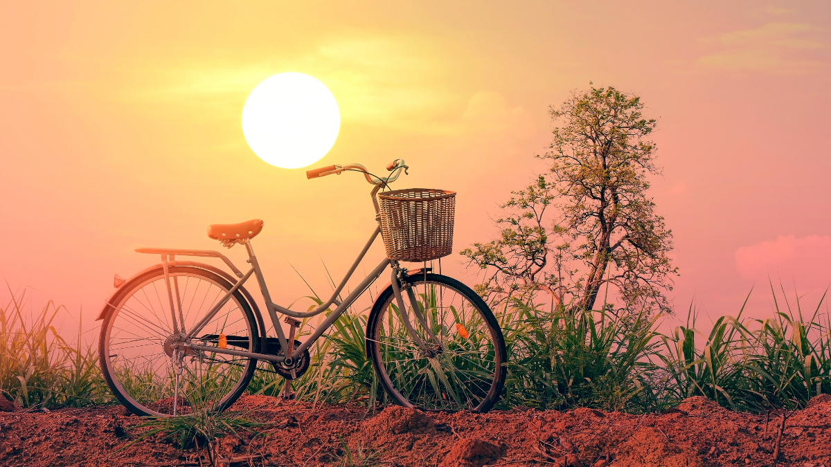 What’s The Big Deal About Exercise? – Julie de Rohan