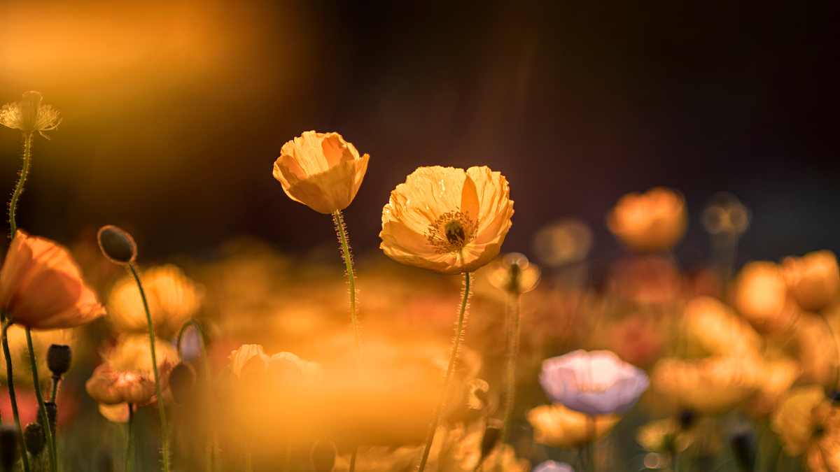 Expert Insight: Filling the Spaces of Your Life with Positive People ...